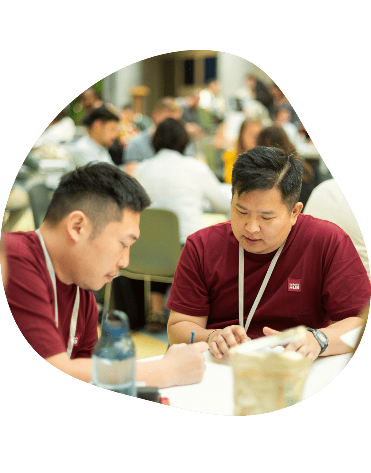 Transparency & Accountability | Impact Hub